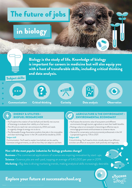 Future of Jobs Subject Posters - 19 subjects – Success at School